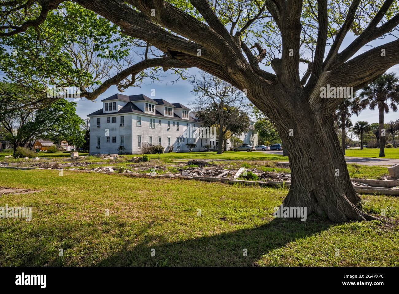 Elm tree, The Luther Hotel, 1903, historic hotel in Palacios, Texas ...