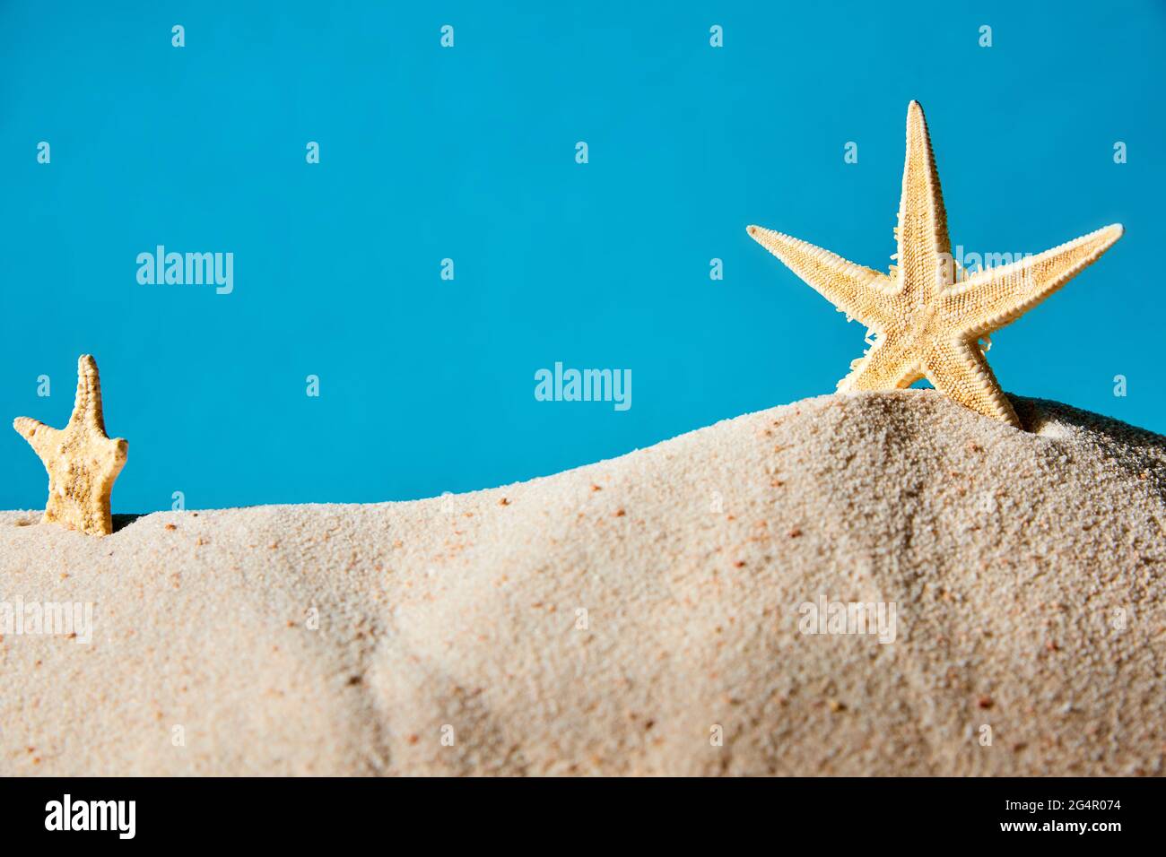 Blue starfish standing beach hi-res stock photography and images - Alamy