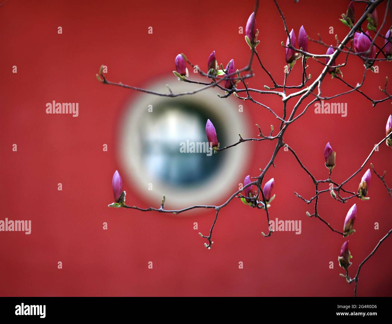 Magnolia walls hi-res stock photography and images - Alamy