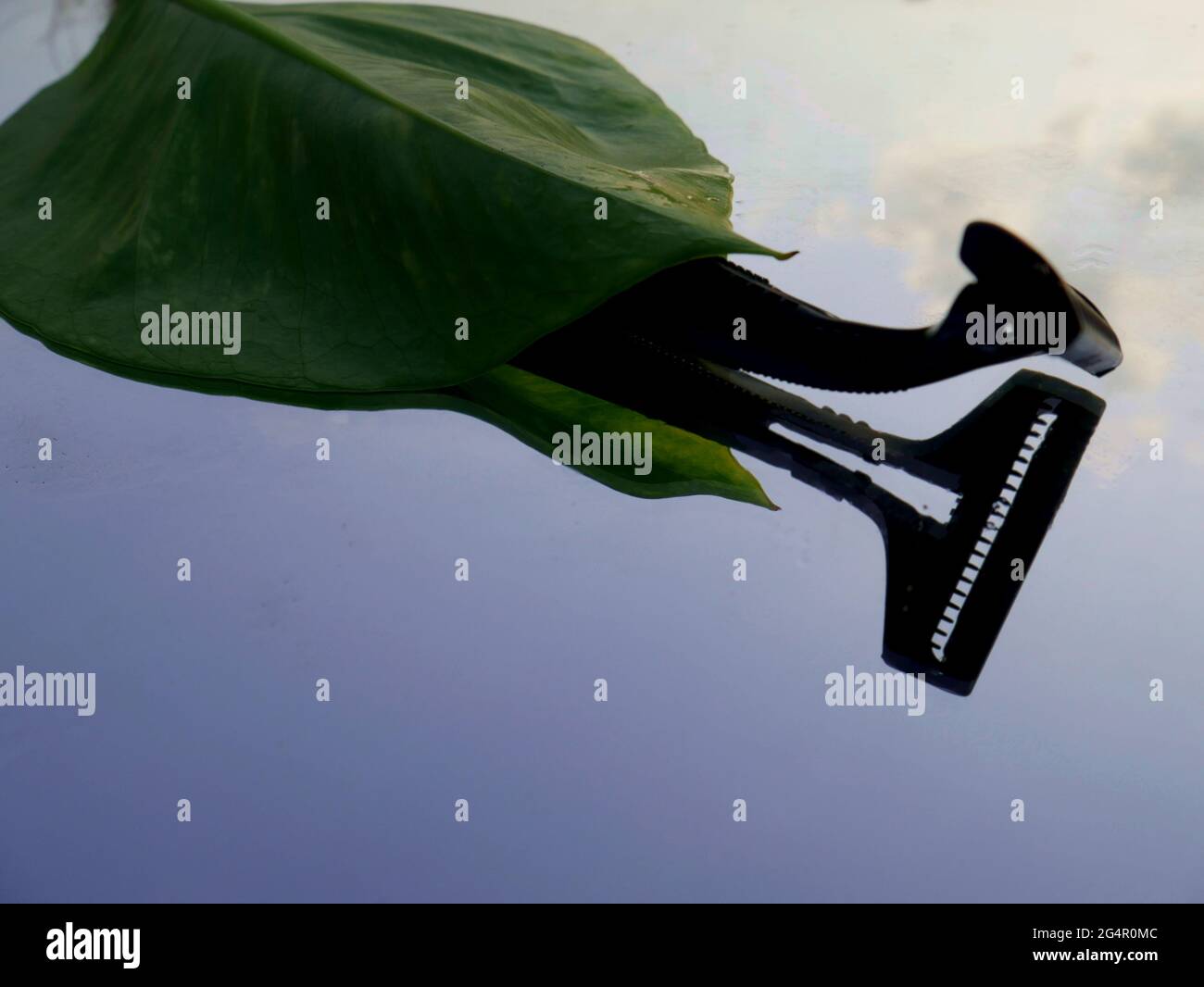 Shaving razor with green leaf isolate on glass surface with sky ...