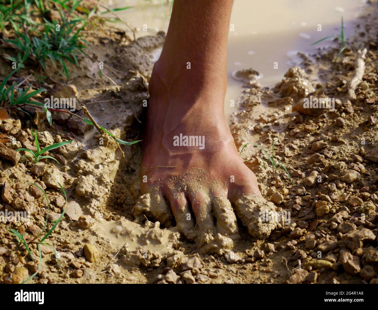 Closeup feet walking mud hi-res stock photography and images - Alamy