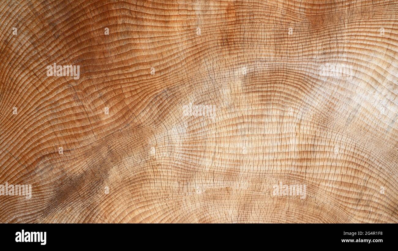 Abstract timber wood background hi-res stock photography and images - Alamy