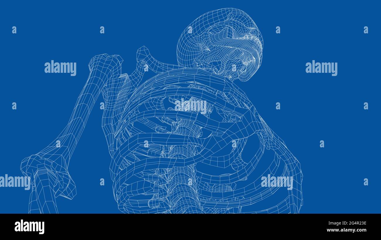 Human skeleton. Vector Stock Vector Image & Art - Alamy