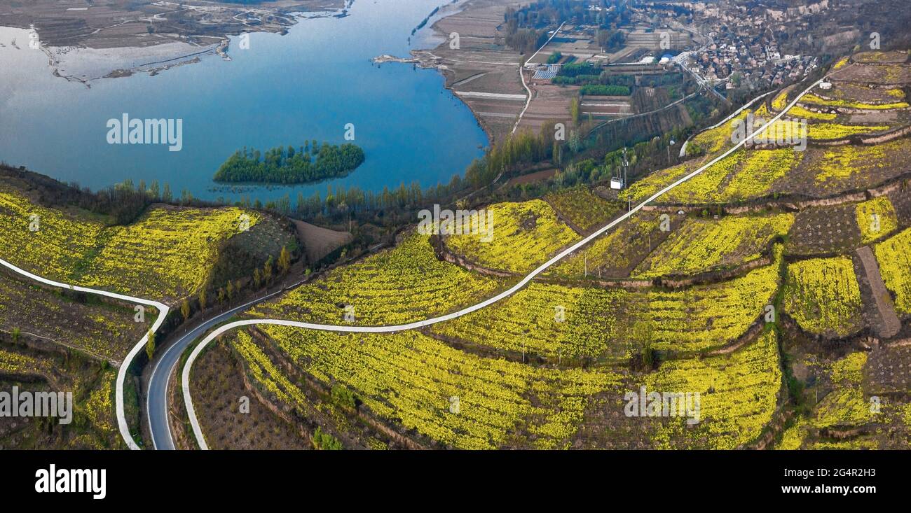 The western rural spring scenery in the morning Stock Photo - Alamy