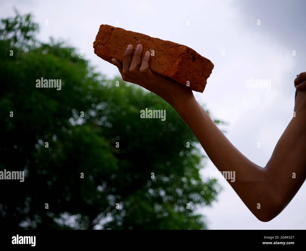 Brick holded on hand by asian male kid on green natural background ...