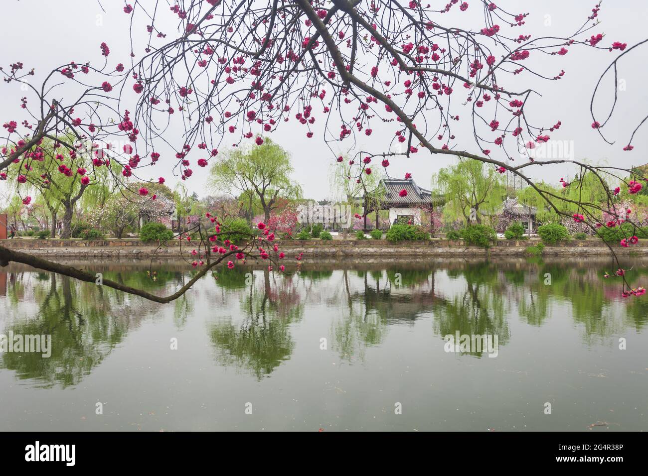 Jiangnan spring color hi-res stock photography and images - Alamy