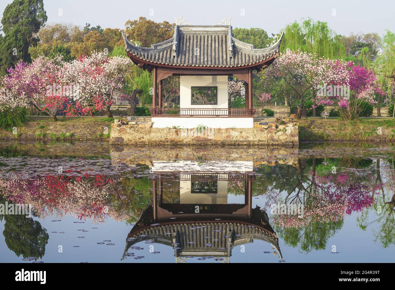 Jiangnan gardens - li garden Stock Photo - Alamy