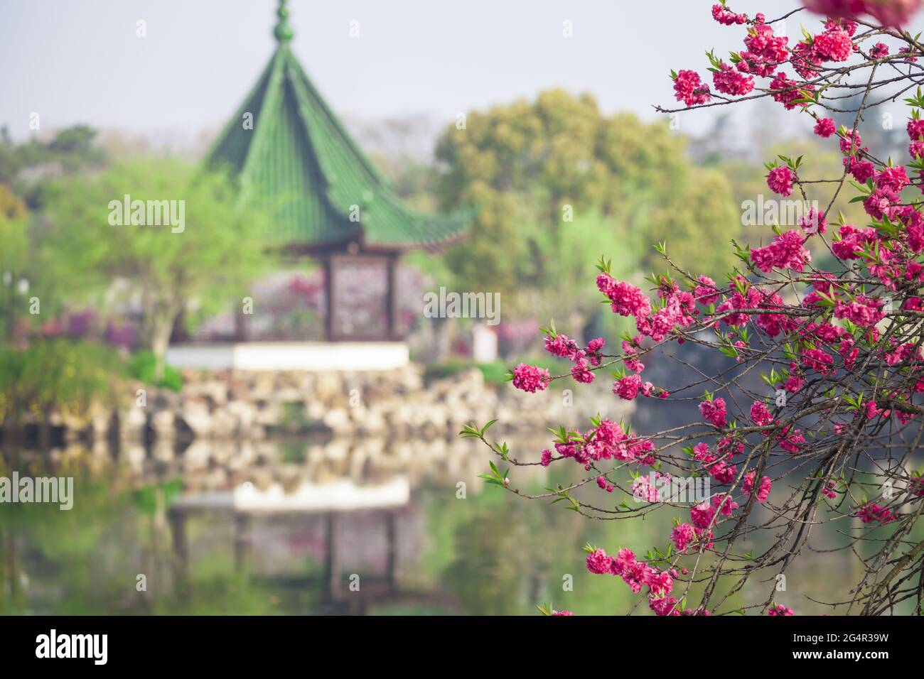 Jiangnan gardens - li garden Stock Photo - Alamy