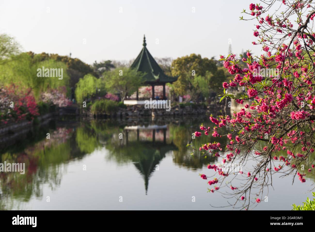 Jiangnan gardens - li garden Stock Photo - Alamy
