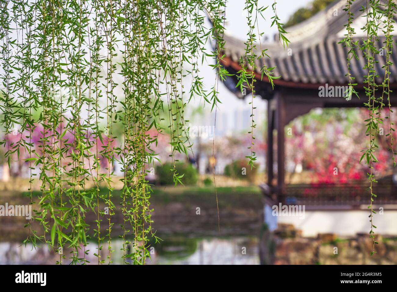 Jiangnan gardens - li garden Stock Photo - Alamy