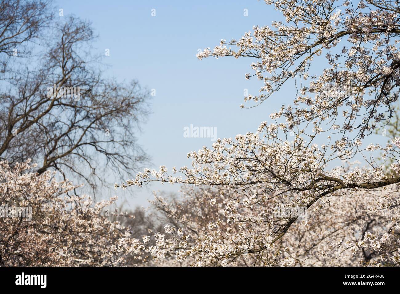 Jiangnan famous scenic spot - the turtle head isle Stock Photo - Alamy