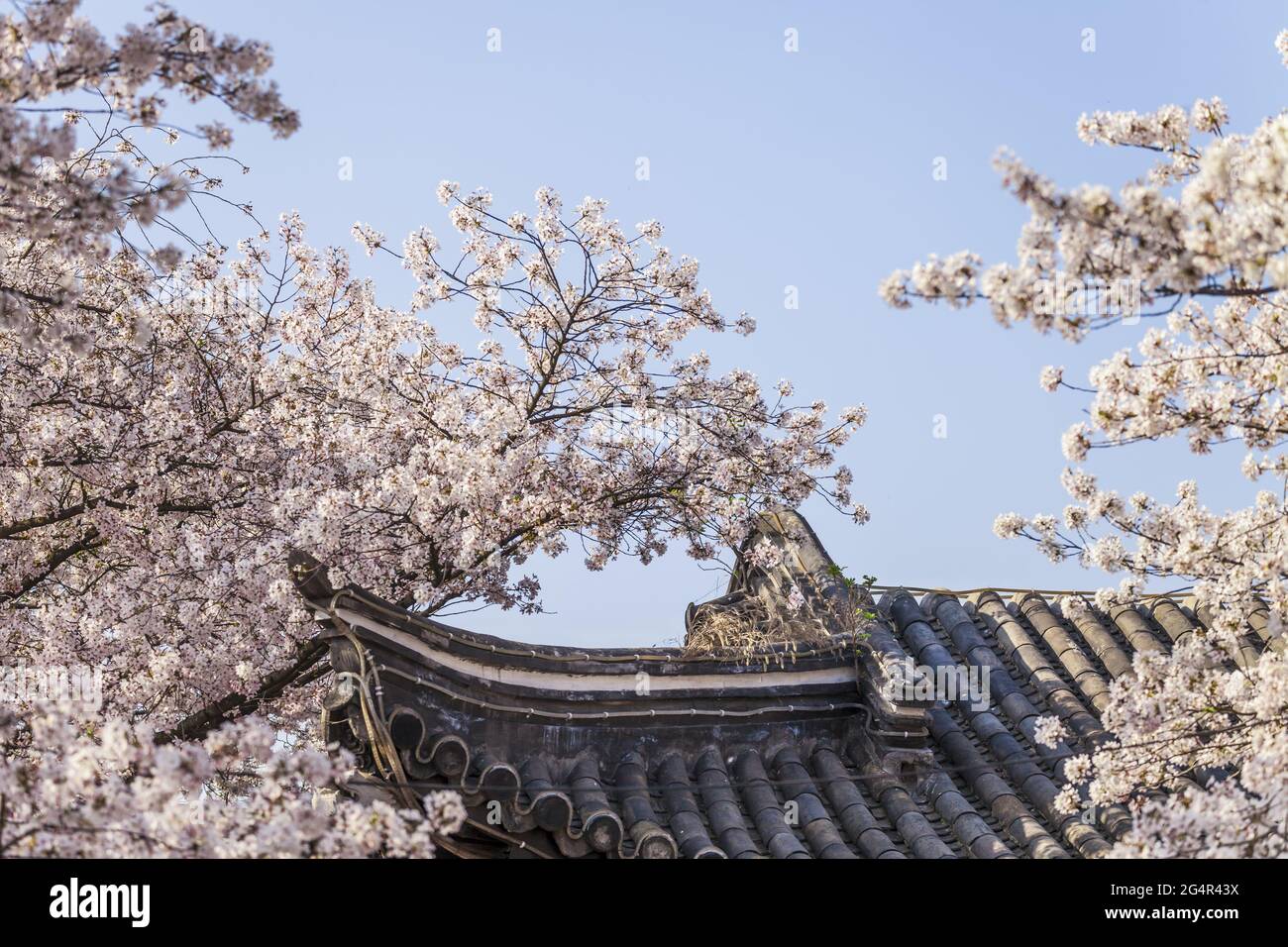 Jiangnan famous scenic spot - the turtle head isle Stock Photo - Alamy