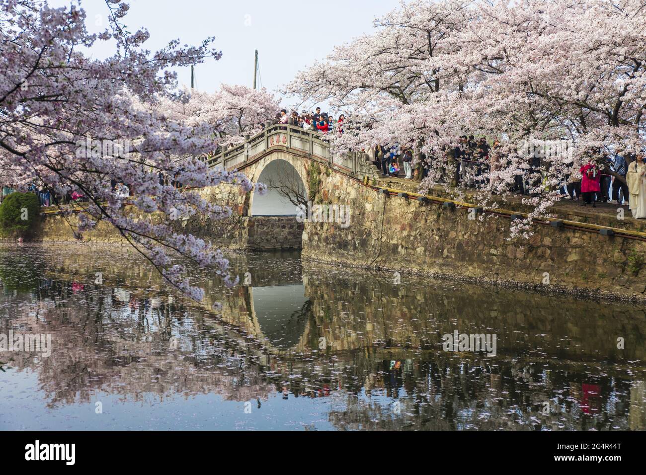 Jiangnan famous scenic spot - the turtle head isle Stock Photo - Alamy