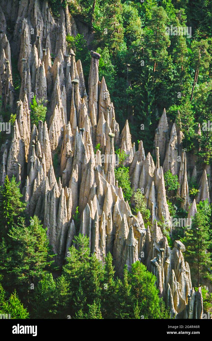Renon earth pyramids. Bolzano, Italy. Erdpyramiden am Ritten Stock ...