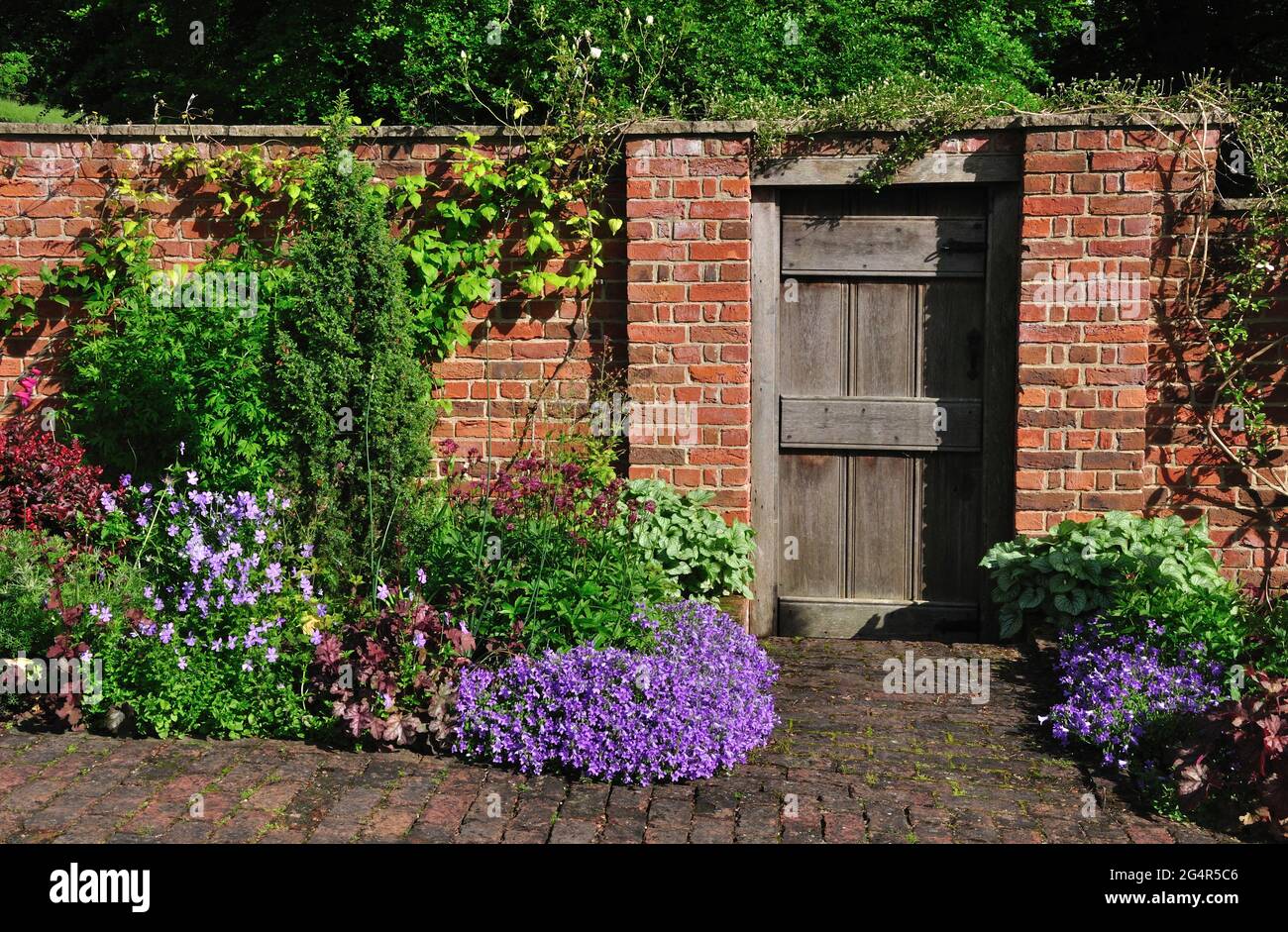 English garden wall, gate and flower border in summer Stock Photo - Alamy
