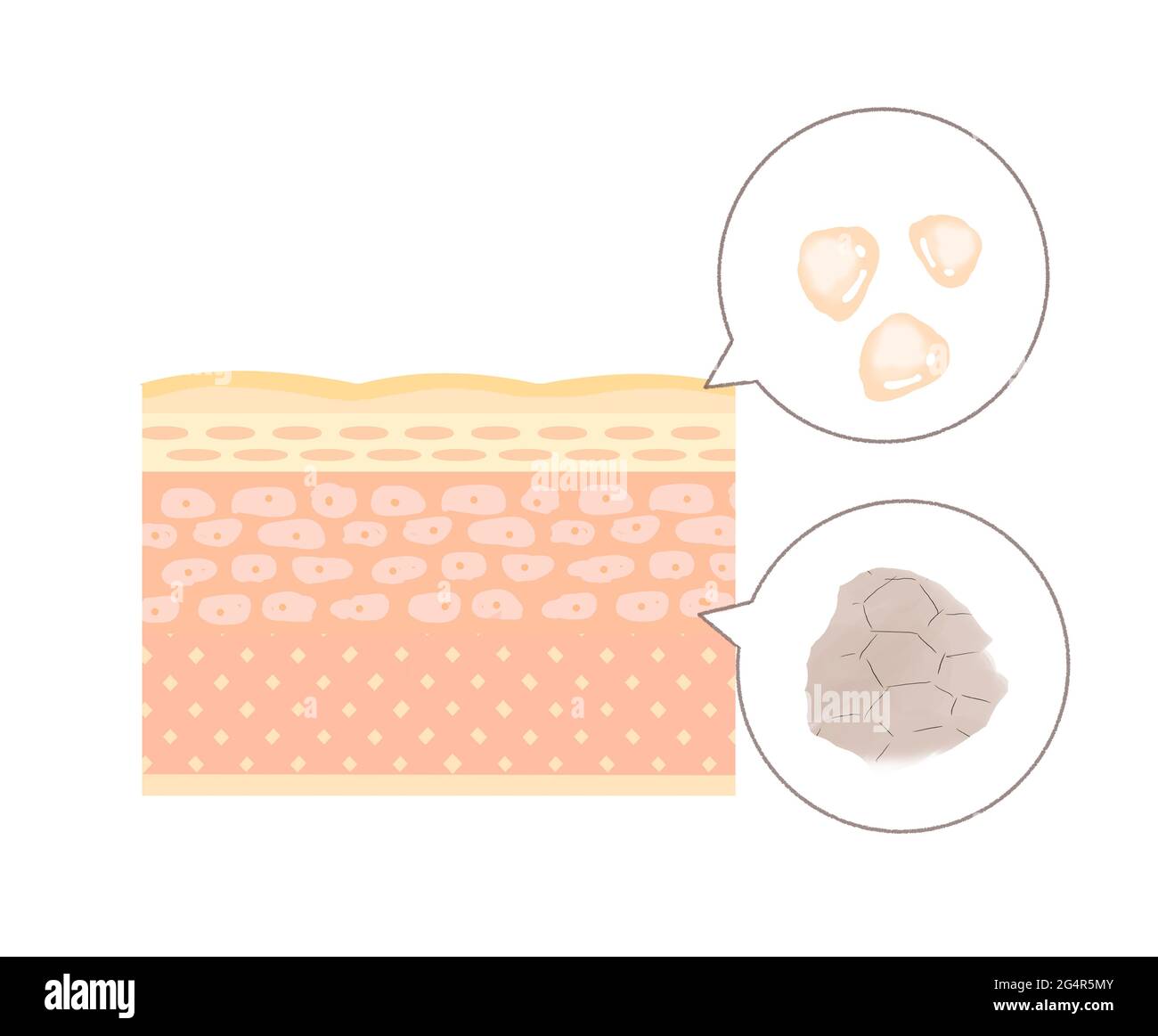 Tekateka hi-res stock photography and images - Alamy