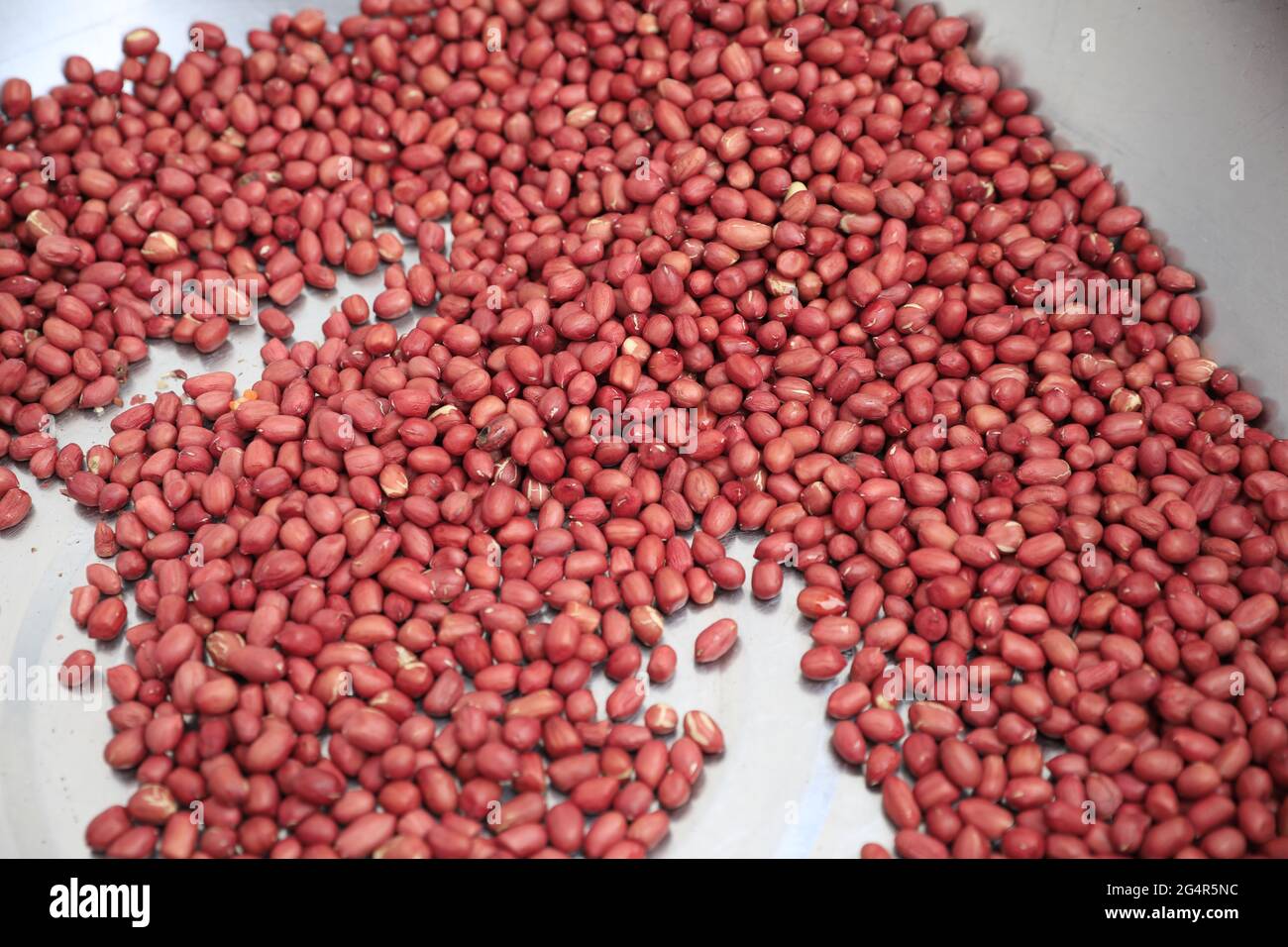 Red one peanut Stock Photo - Alamy