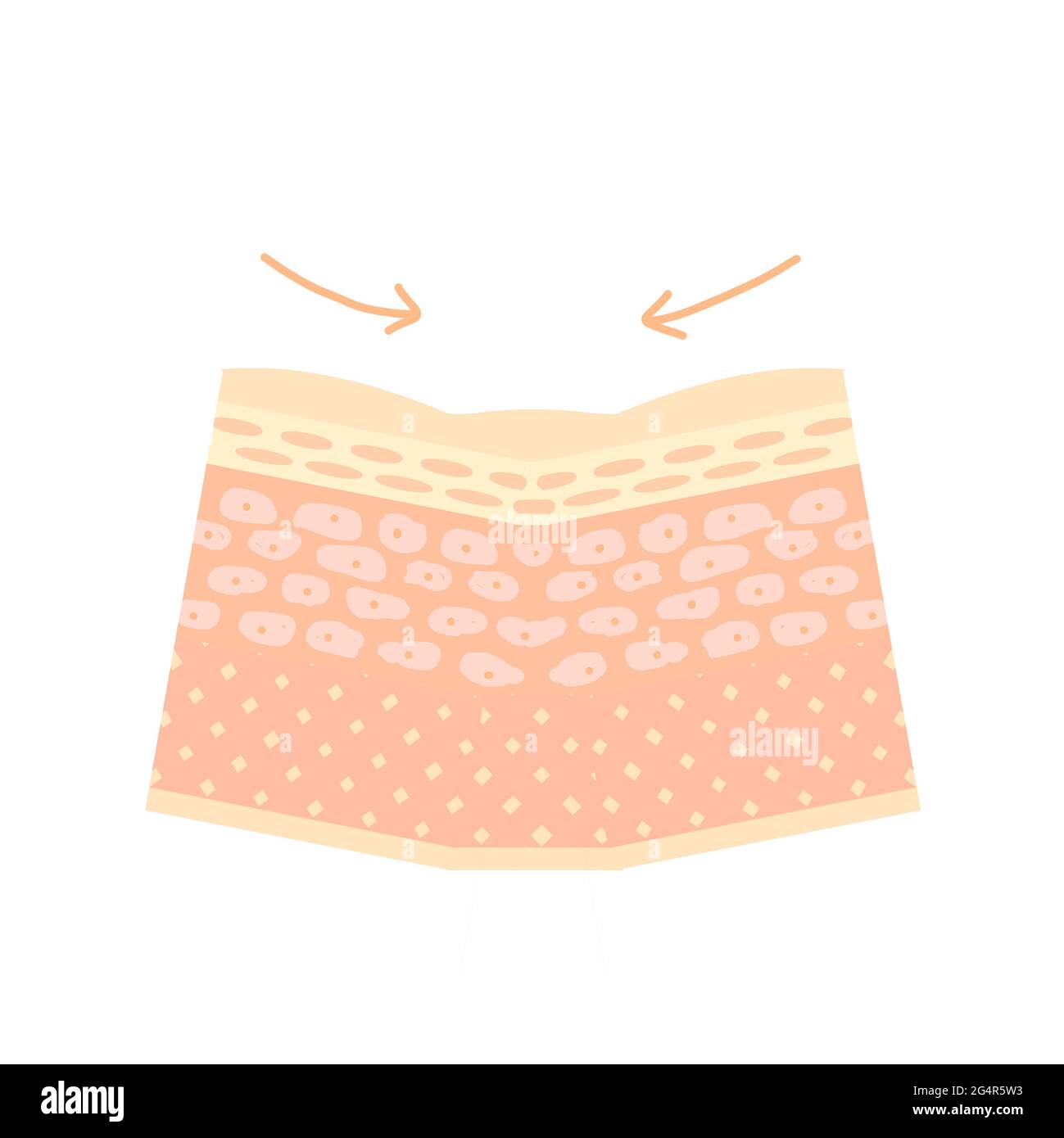 Structure of sagging skin. On a white background Stock Photo - Alamy