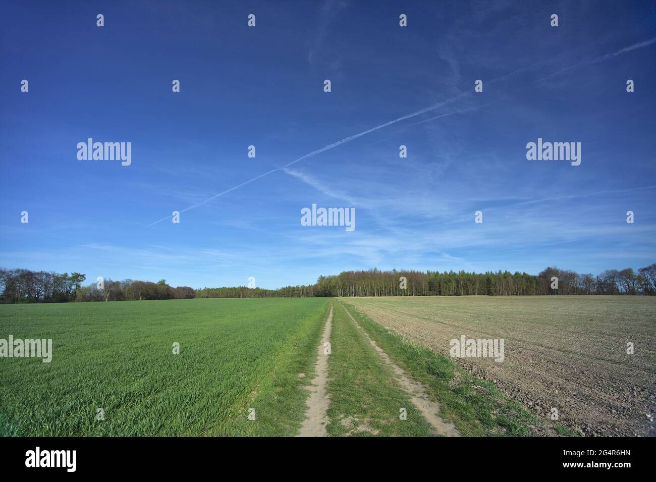 Vast, empty field of grass with half of it mown under a bright blue sky ...