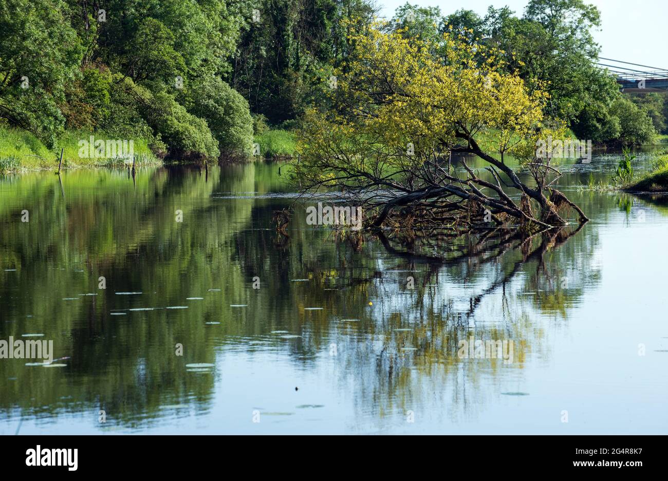 Erne hi-res stock photography and images - Alamy