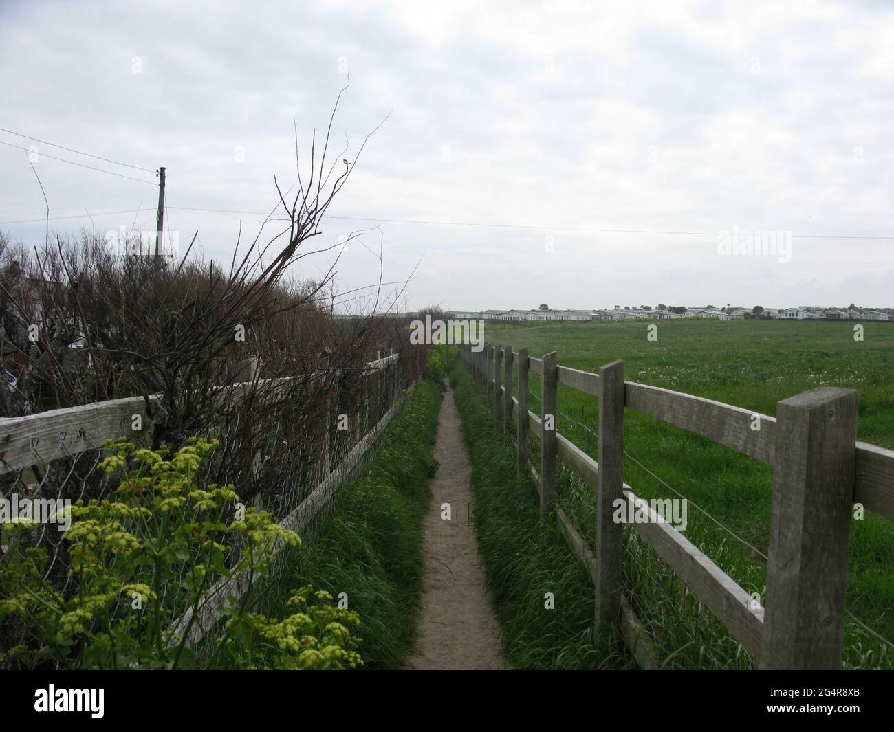 South west coast path. North Cornwall. West country. England. UK Stock ...