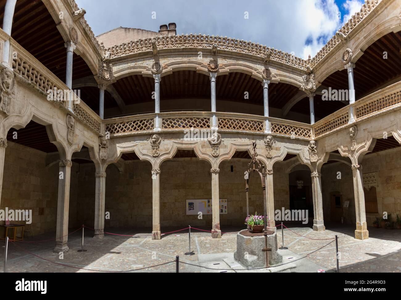 12 conchas hi-res stock photography and images - Alamy