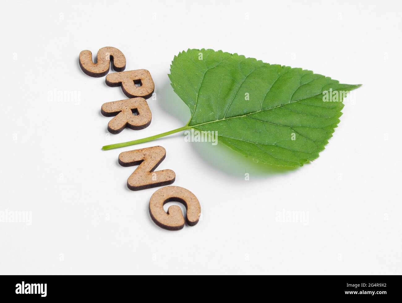 Save the planet minimal concept. Green leaf and word spring on white ...