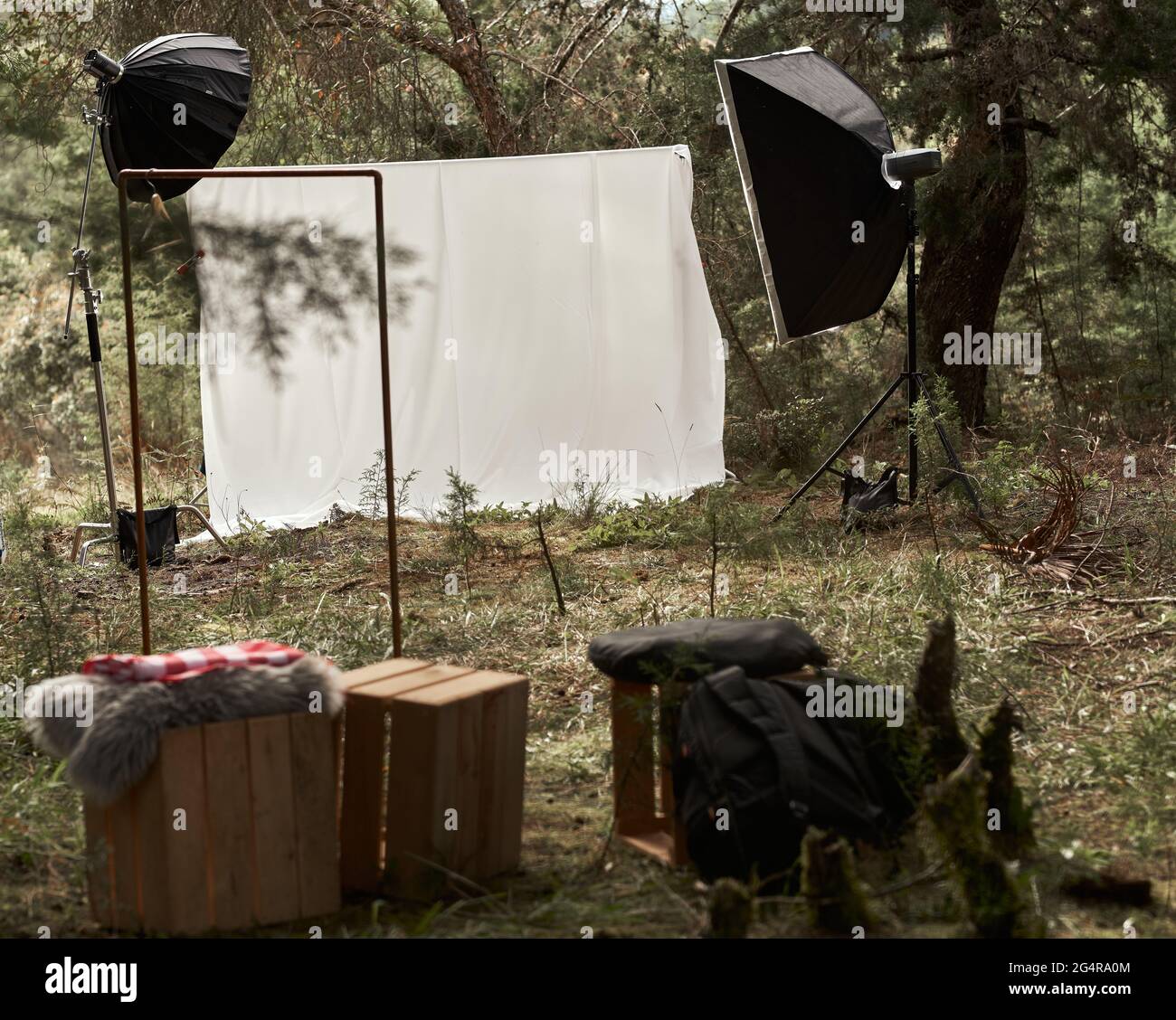 Model photoshoot setup with a white backdrop on a forest Stock Photo ...
