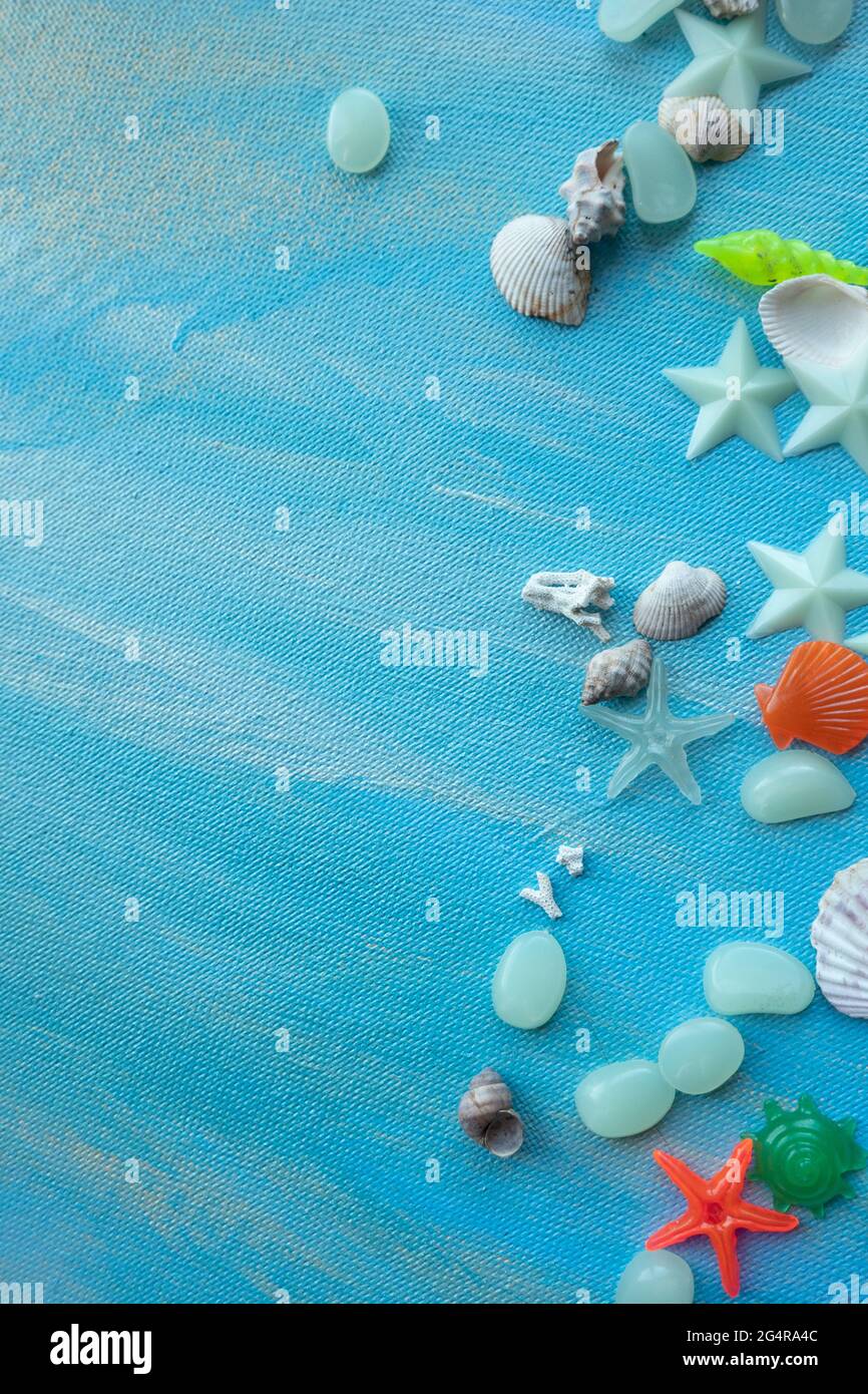 Seashells summer background. Many different seashells, starfish on a ...