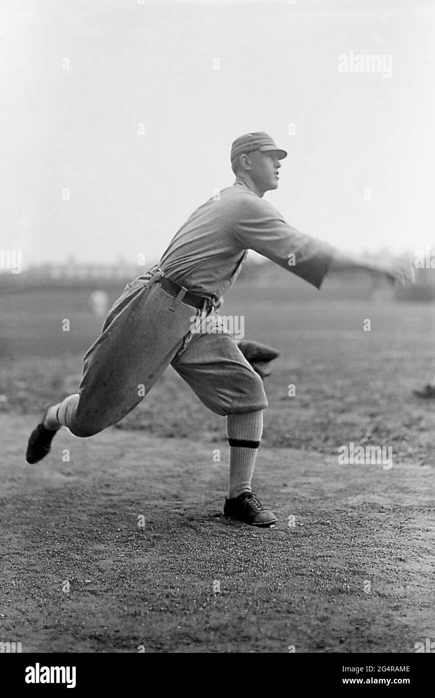Bullet bush hi-res stock photography and images - Alamy