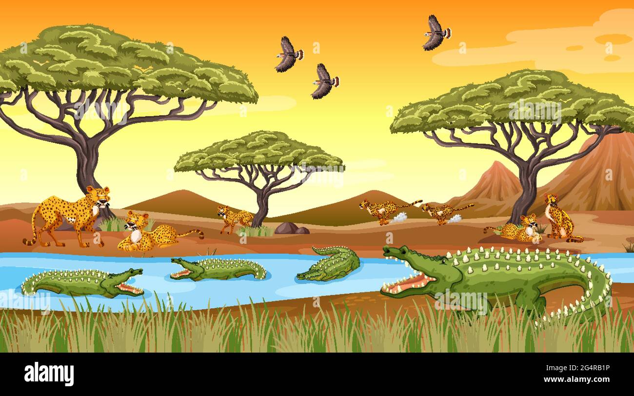 African forest landscape background illustration Stock Vector Image ...