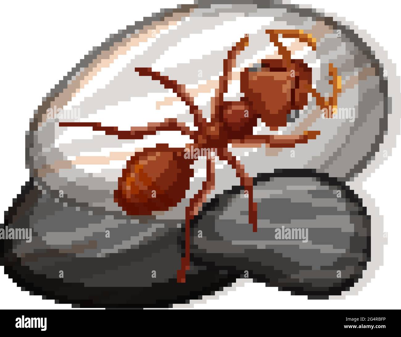 Top view of red ant on a stone on white background illustration Stock ...