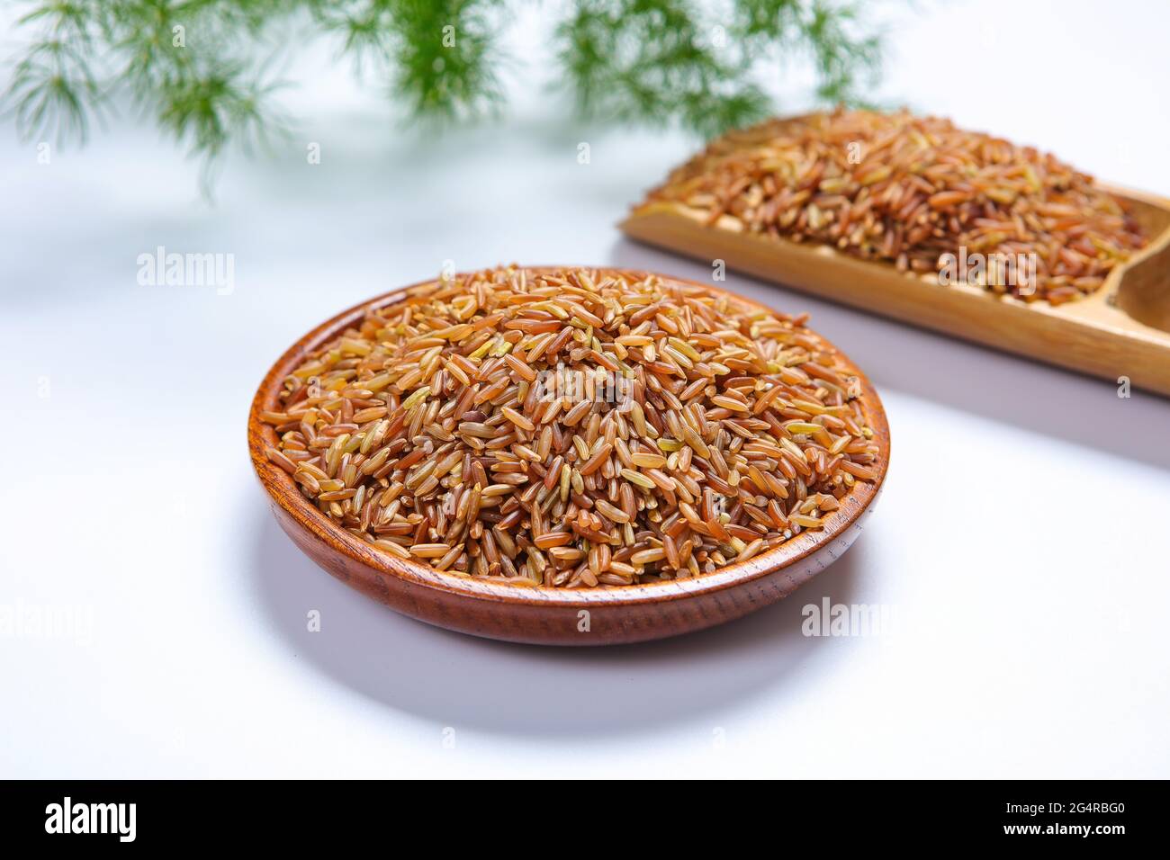 Dried up rice paddy hi-res stock photography and images - Alamy