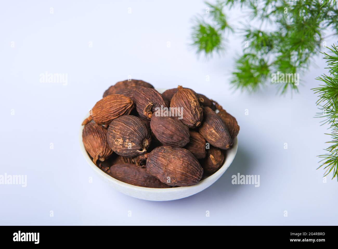 Amomum tsao ko hi-res stock photography and images - Alamy