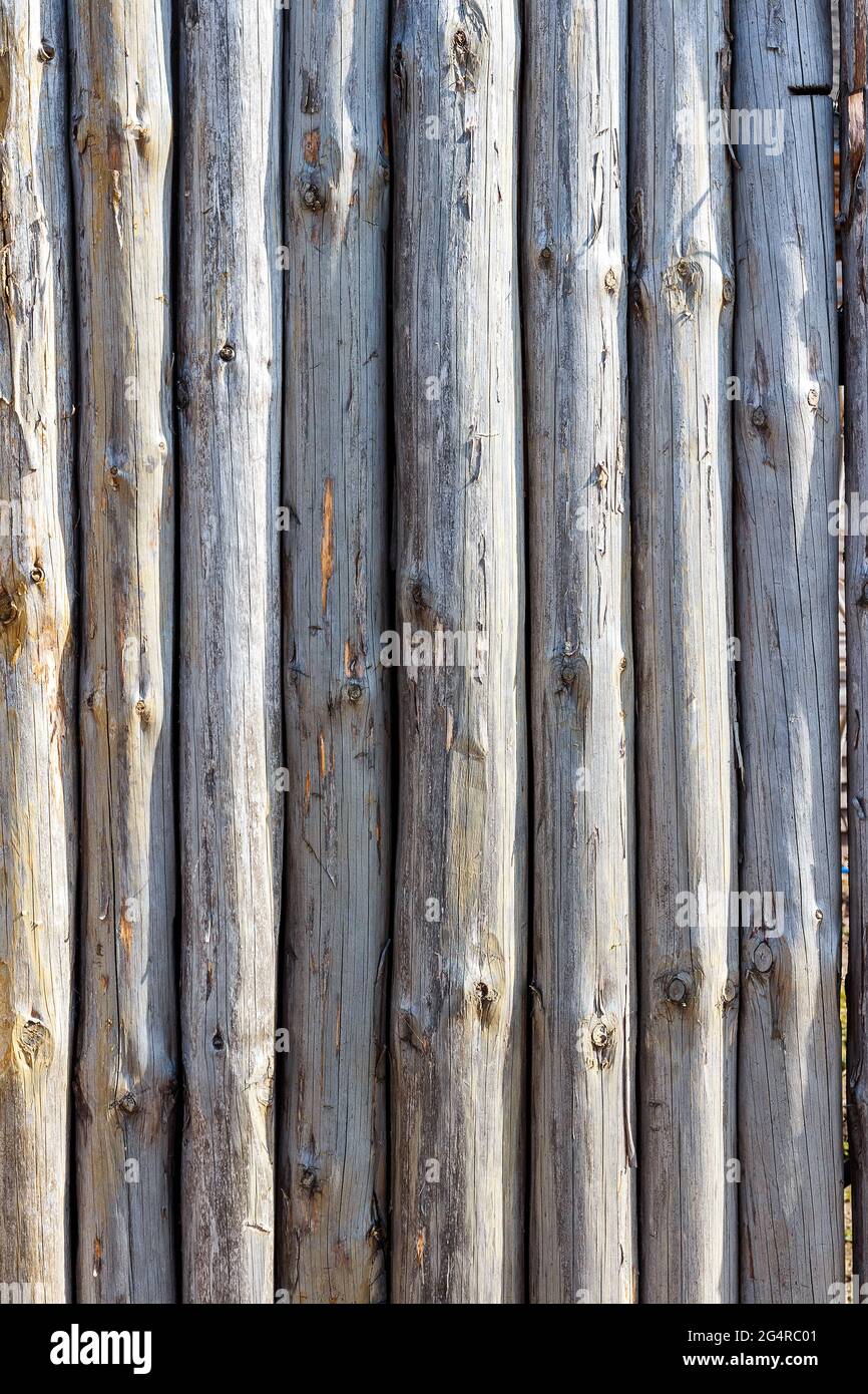 Ancient fence from trunks of trees. Protection against enemies in olden ...