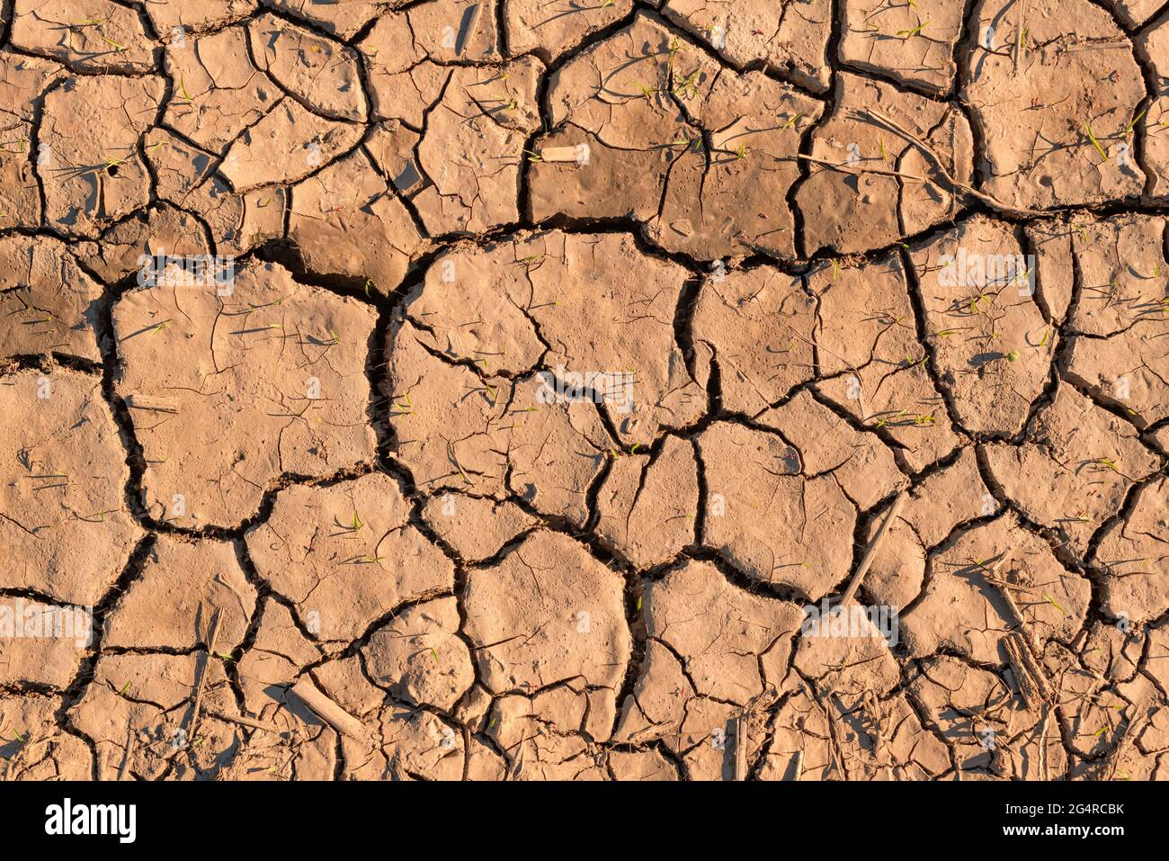 Drought background, texture of dry mud with cracks, top view Stock ...