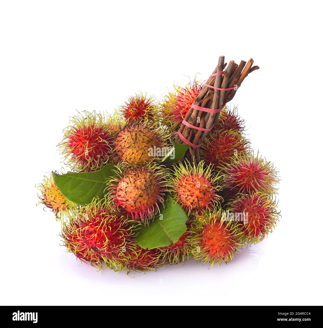 Rumbutan isolated on white background Stock Photo - Alamy