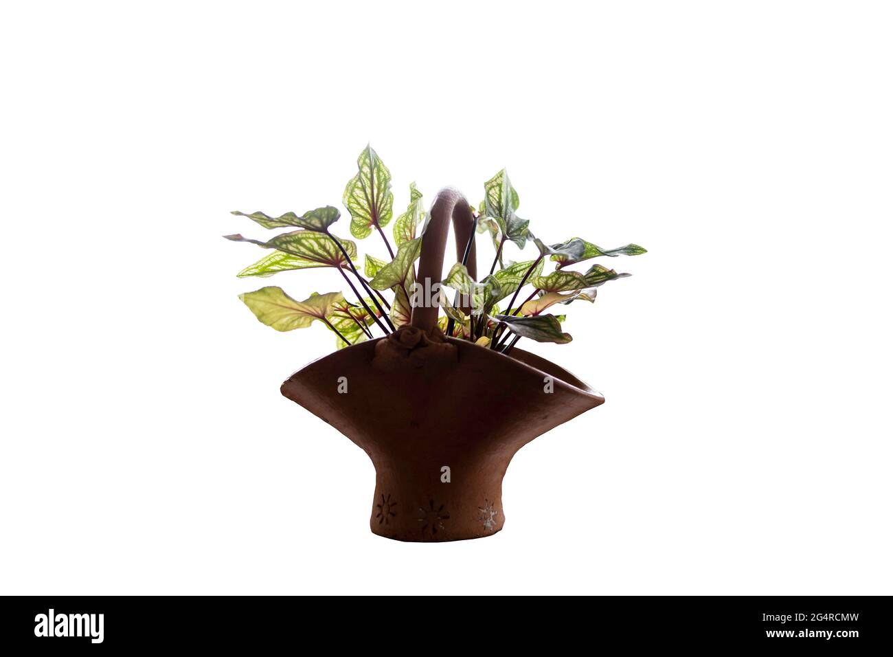 Village green cafe Cut Out Stock Images & Pictures - Alamy