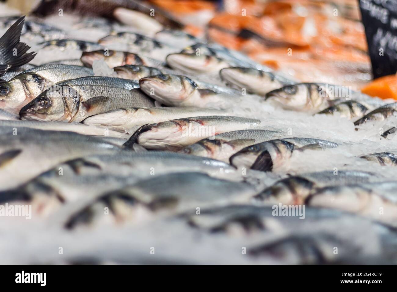 Fresh sea fish in ice in supermarket Stock Photo - Alamy
