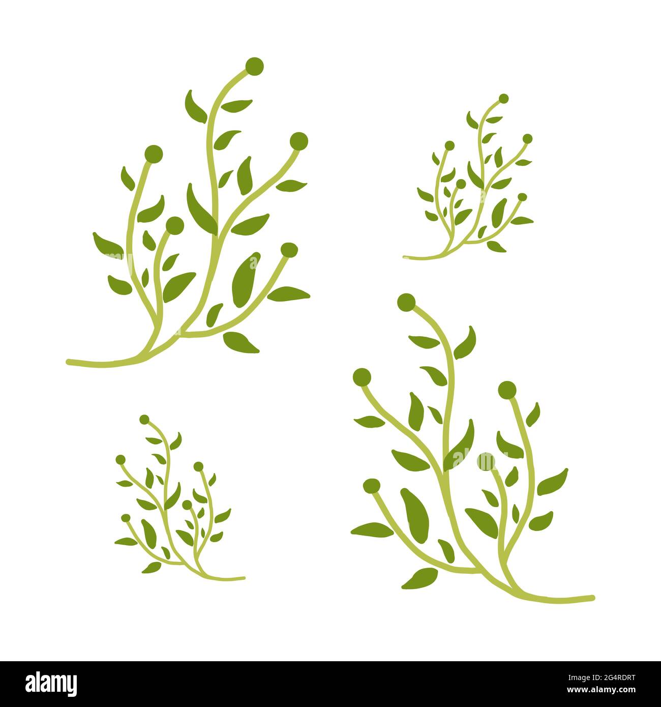 floral shape. beautiful decorated floral background. vector ...