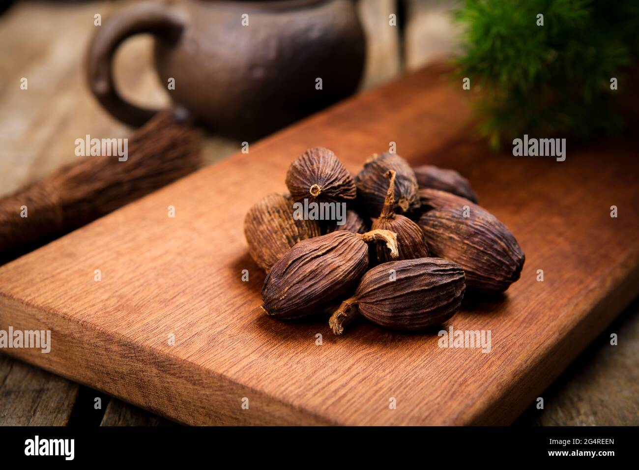 Amomum Tsao Ko High Resolution Stock Photography and Images - Alamy