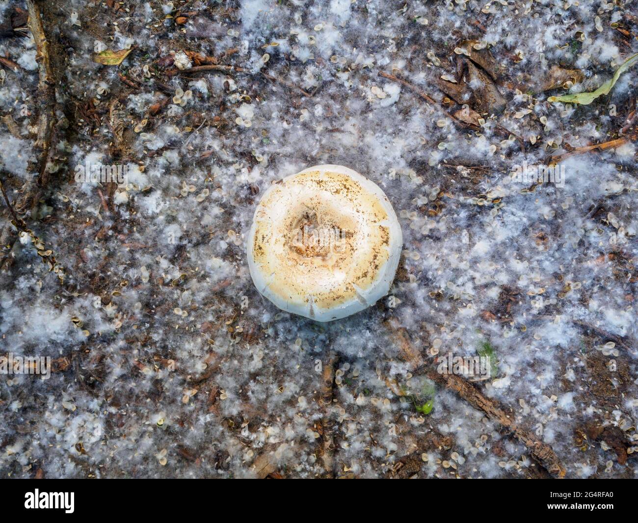 Thick layer soil hi-res stock photography and images - Alamy