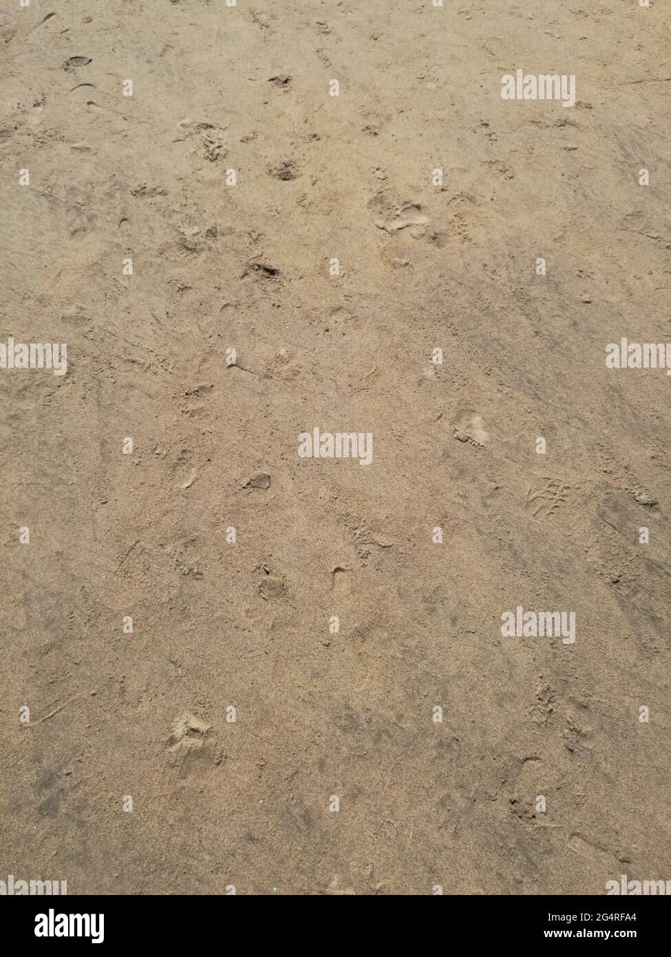Vertical shot of a dusty ground with different traces Stock Photo - Alamy