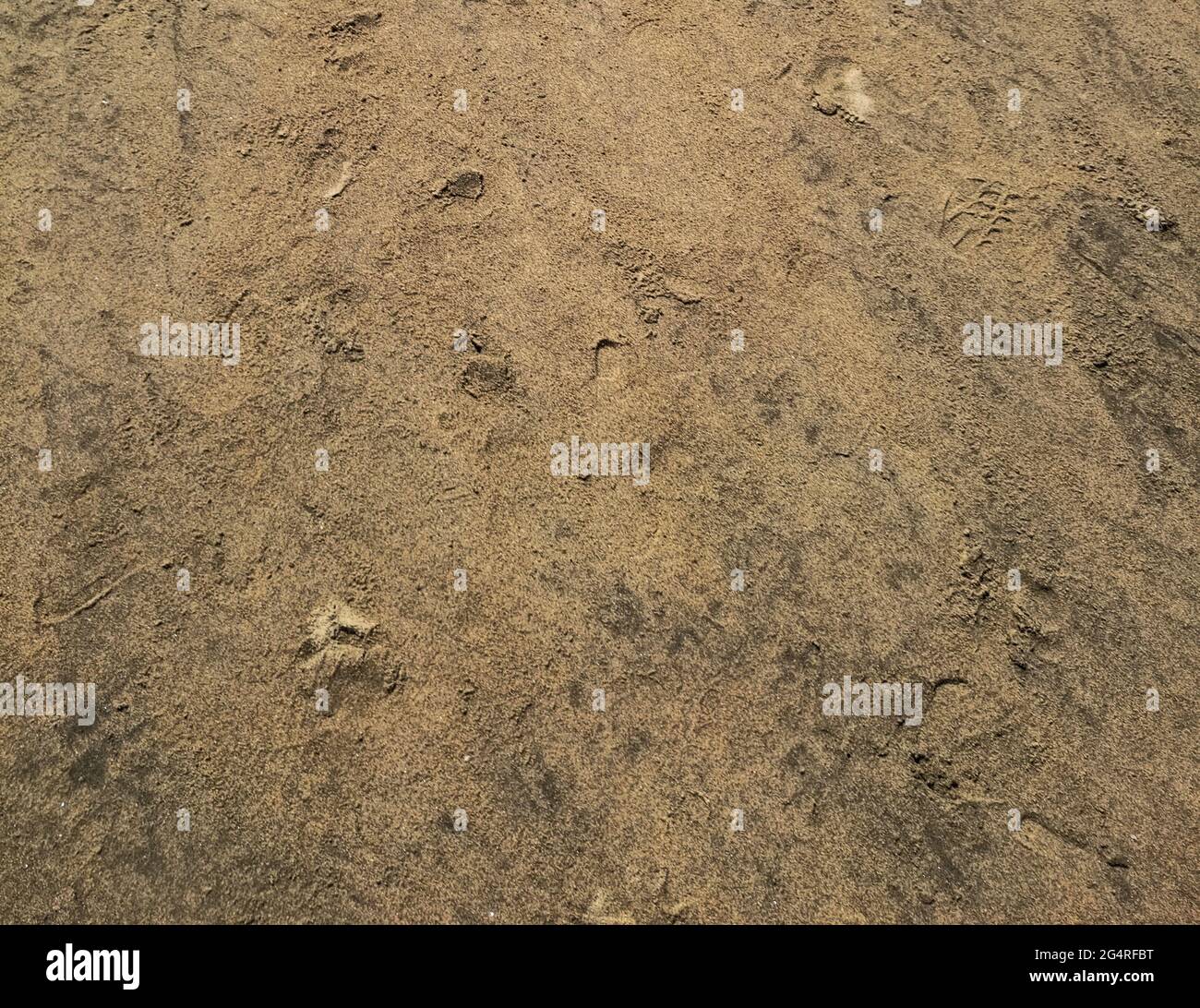 Different traces hi-res stock photography and images - Alamy