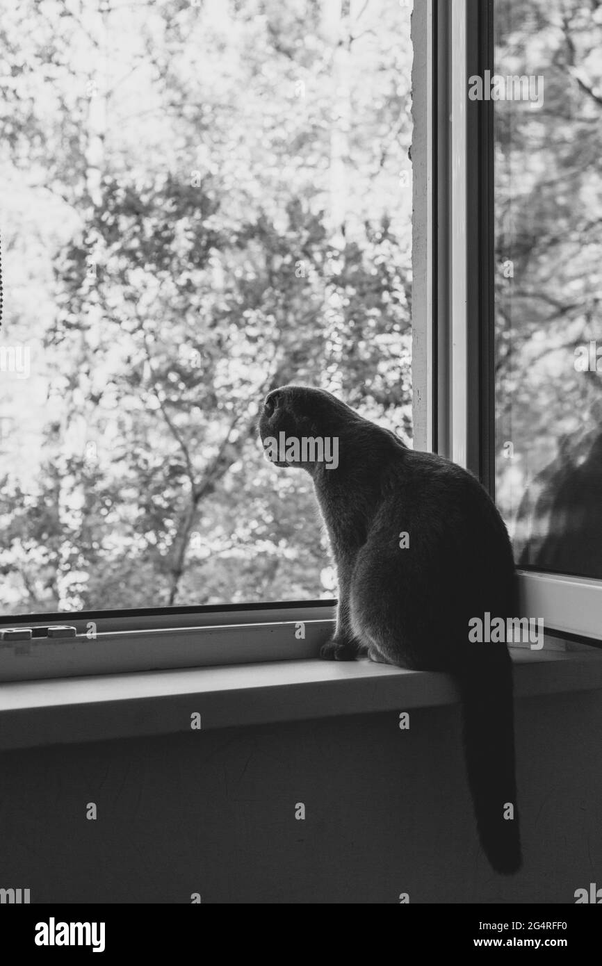 Reflection look Black and White Stock Photos & Images - Alamy