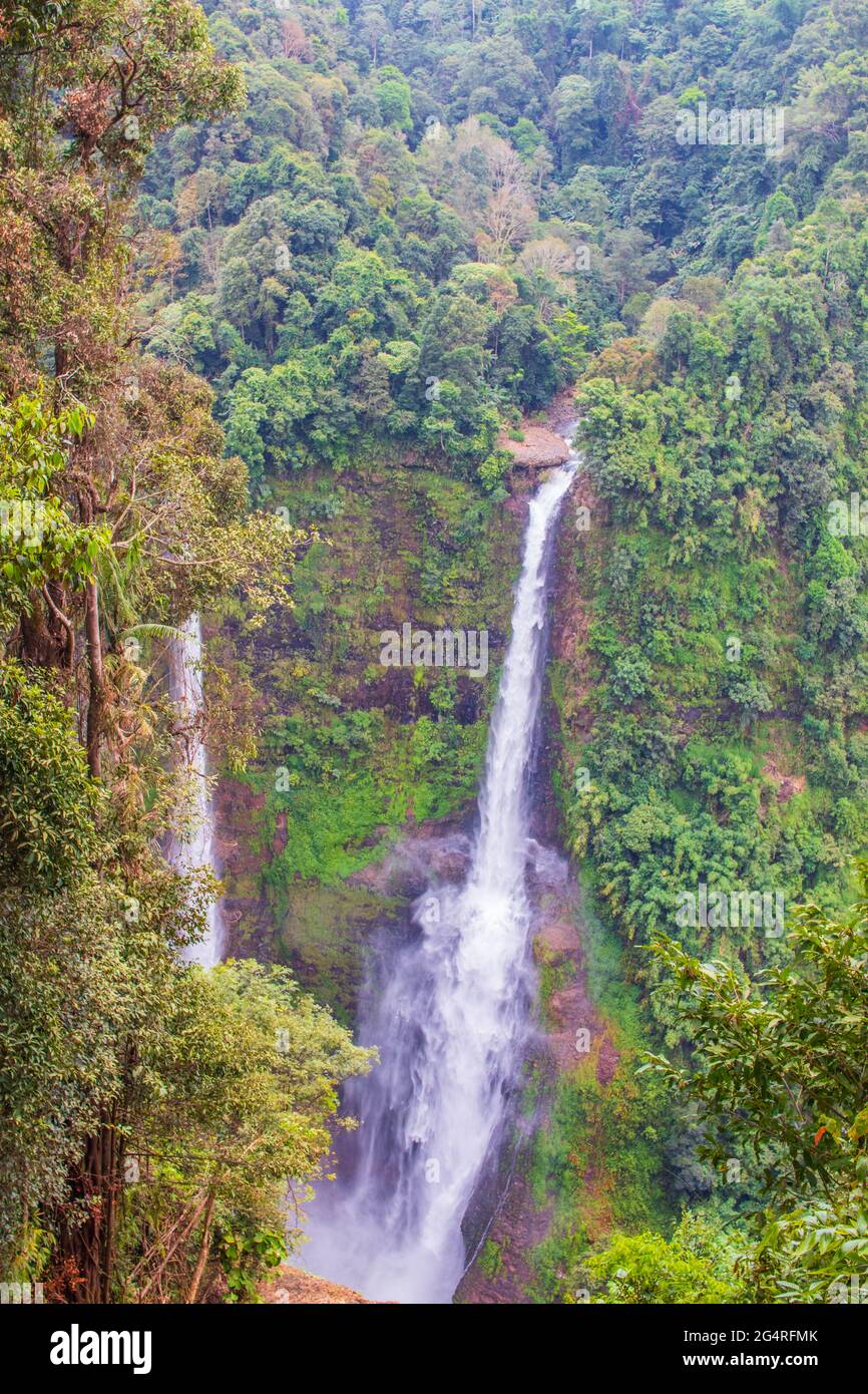 Scenic waterfalls in the middle of a forest in Pakse, Laos, Southeast ...