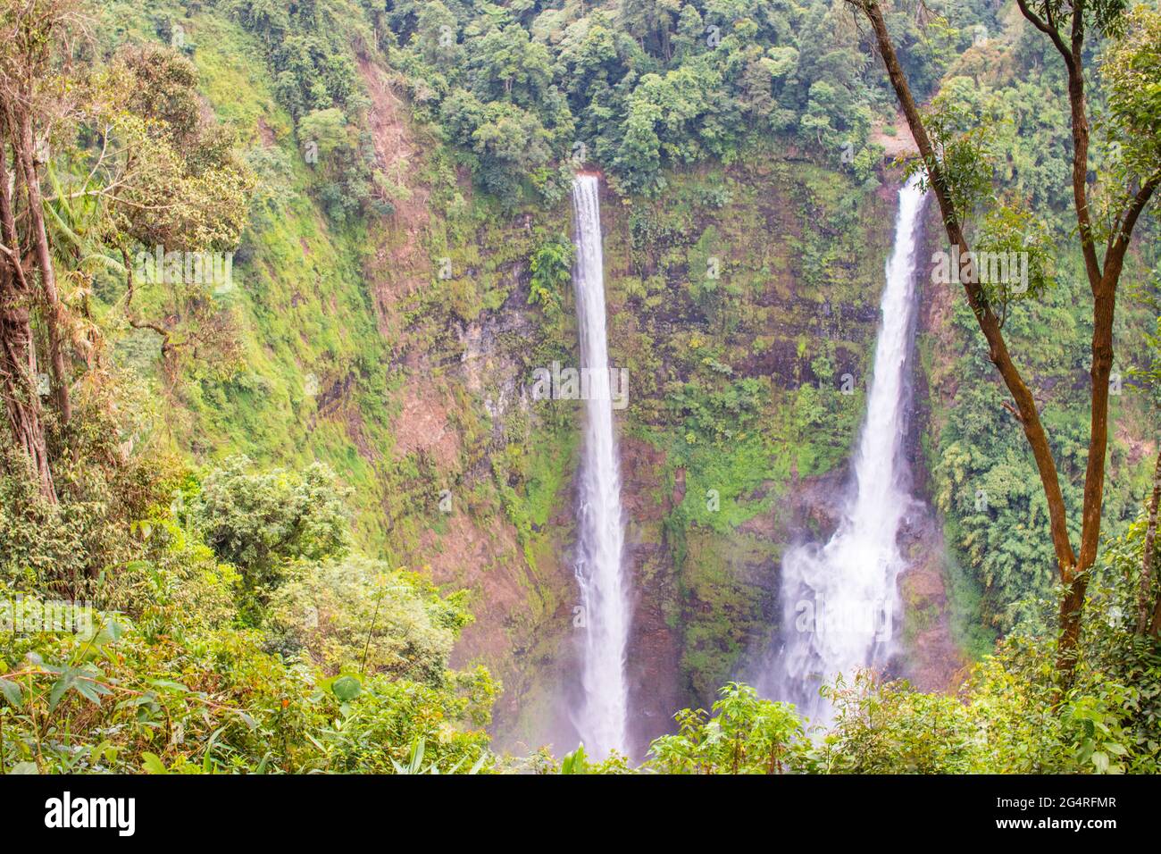 Scenic waterfalls in the middle of a forest in Pakse, Laos, Southeast ...