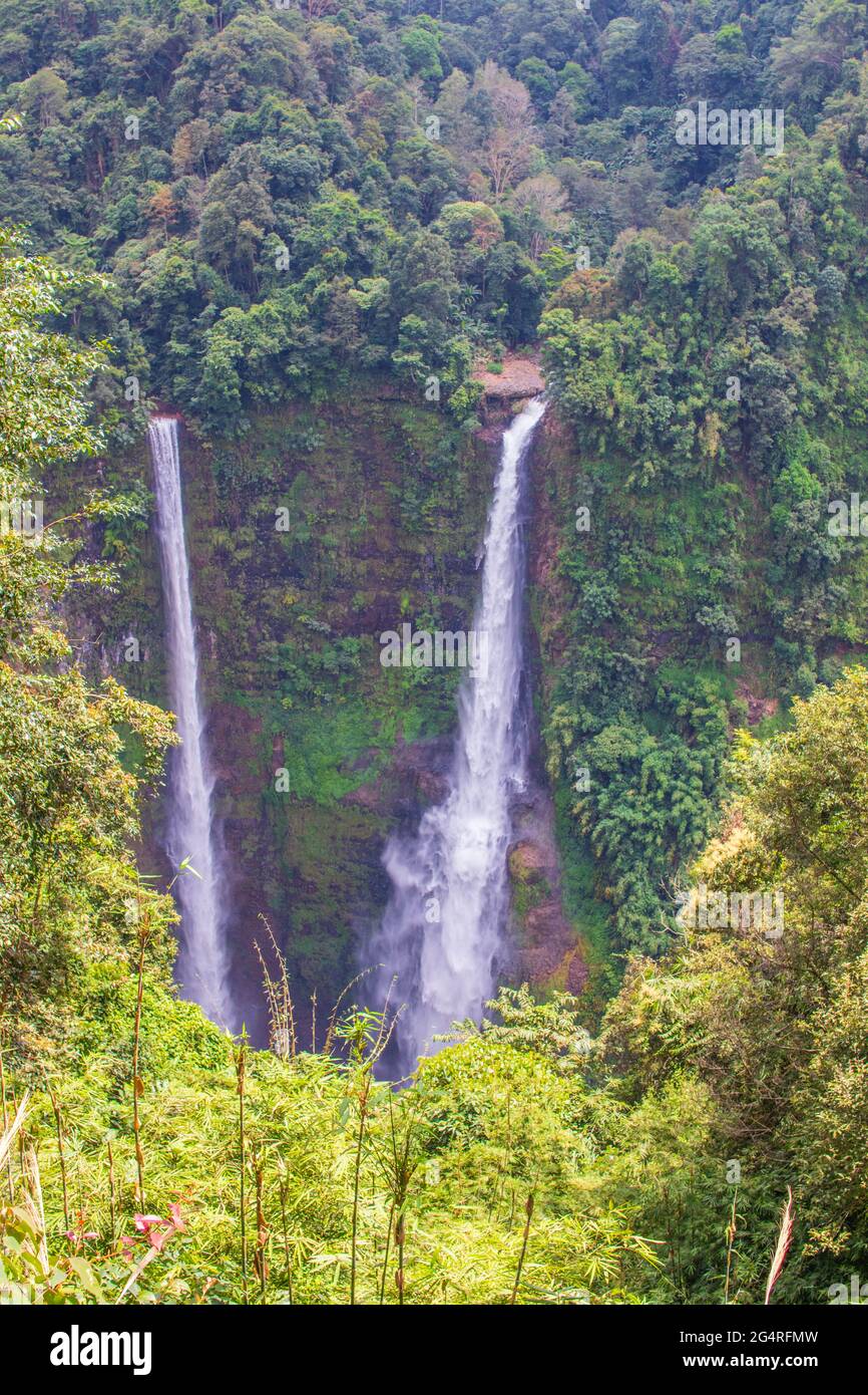 Scenic waterfalls in the middle of a forest in Pakse, Laos, Southeast ...