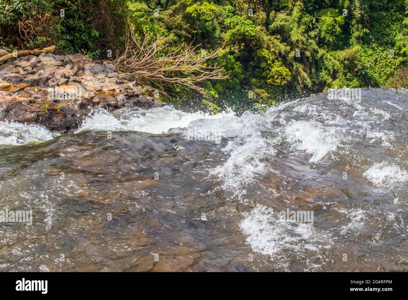 Scenic waterfall in the middle of a forest in Pakse, Laos, Southeast ...
