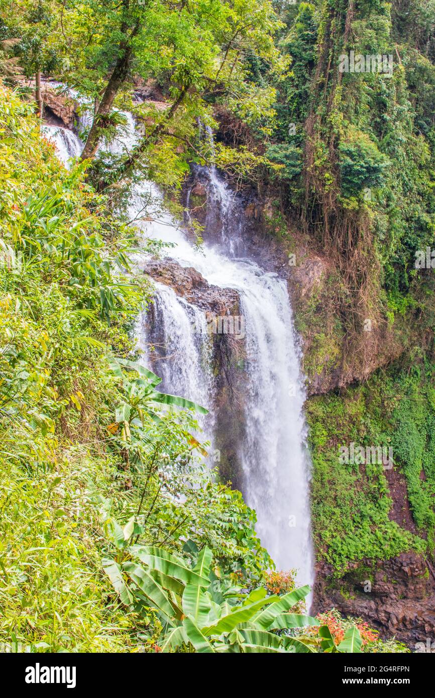 Scenic waterfall in the middle of a forest in Pakse, Laos, Southeast ...